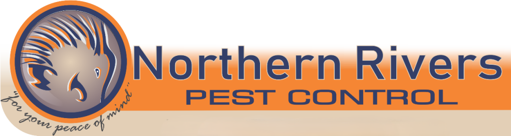Professional Pest Control Solutions across Casino, NSW